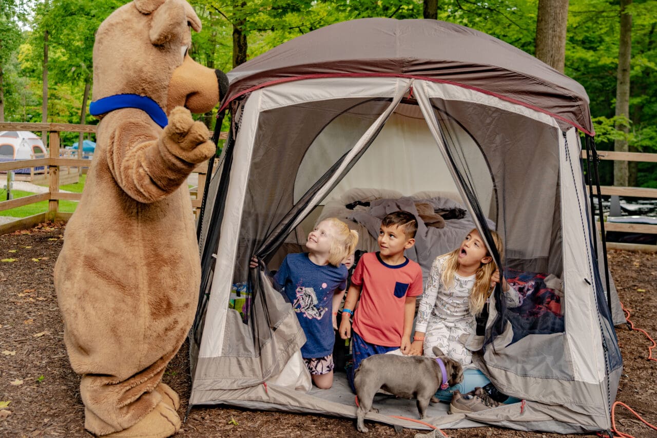 Camping Adventure Week - Jellystone Park at Delaware Beaches